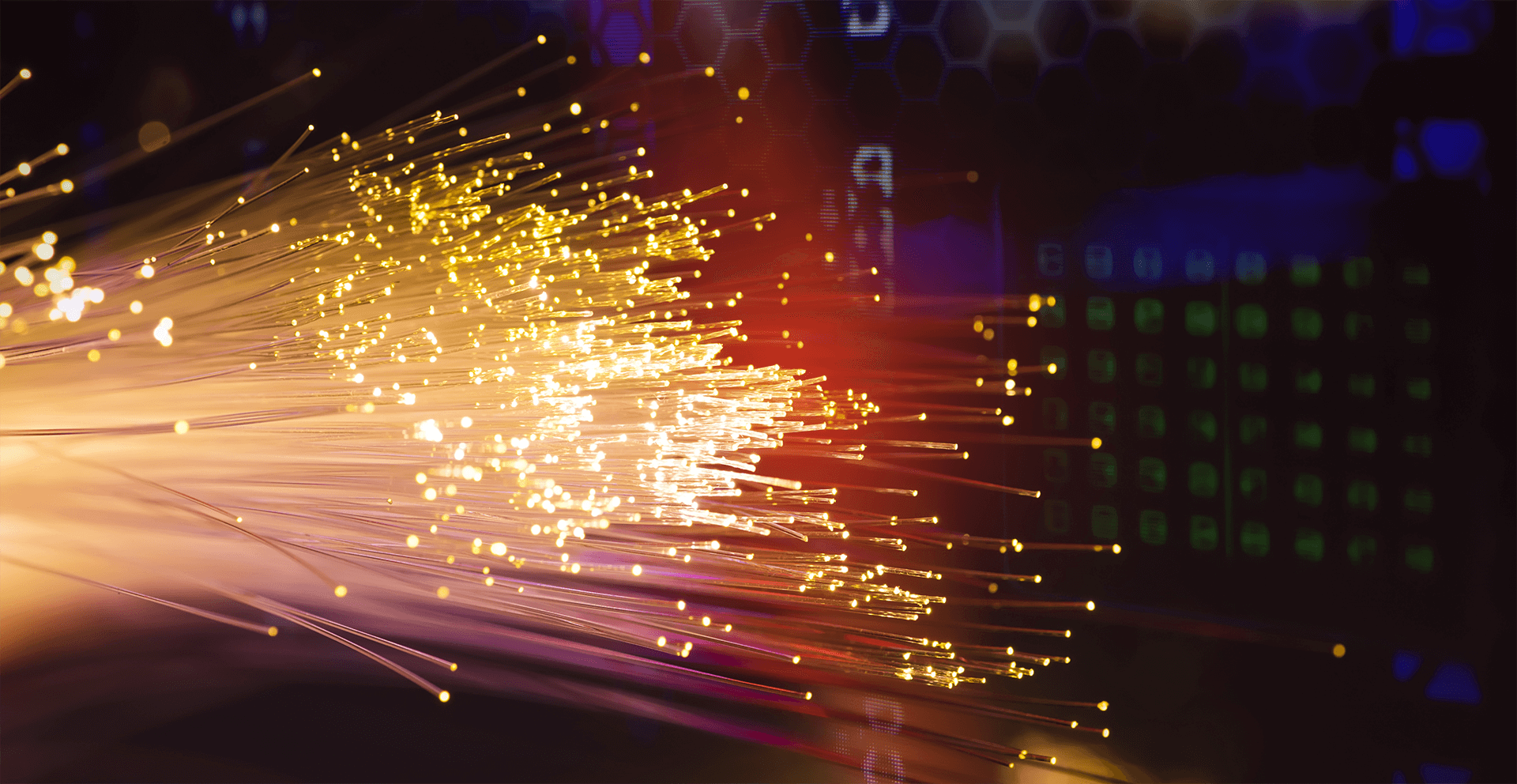 WAN | M2M Connectivity