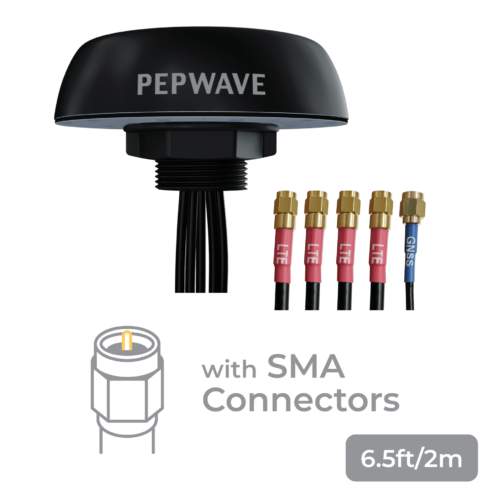 Peplink SIM Injector Mini